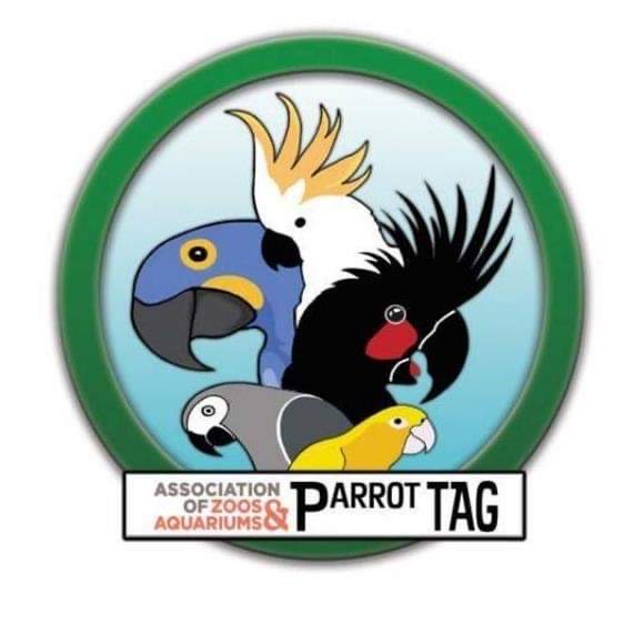 ParrotTAG.org – Silent Forest