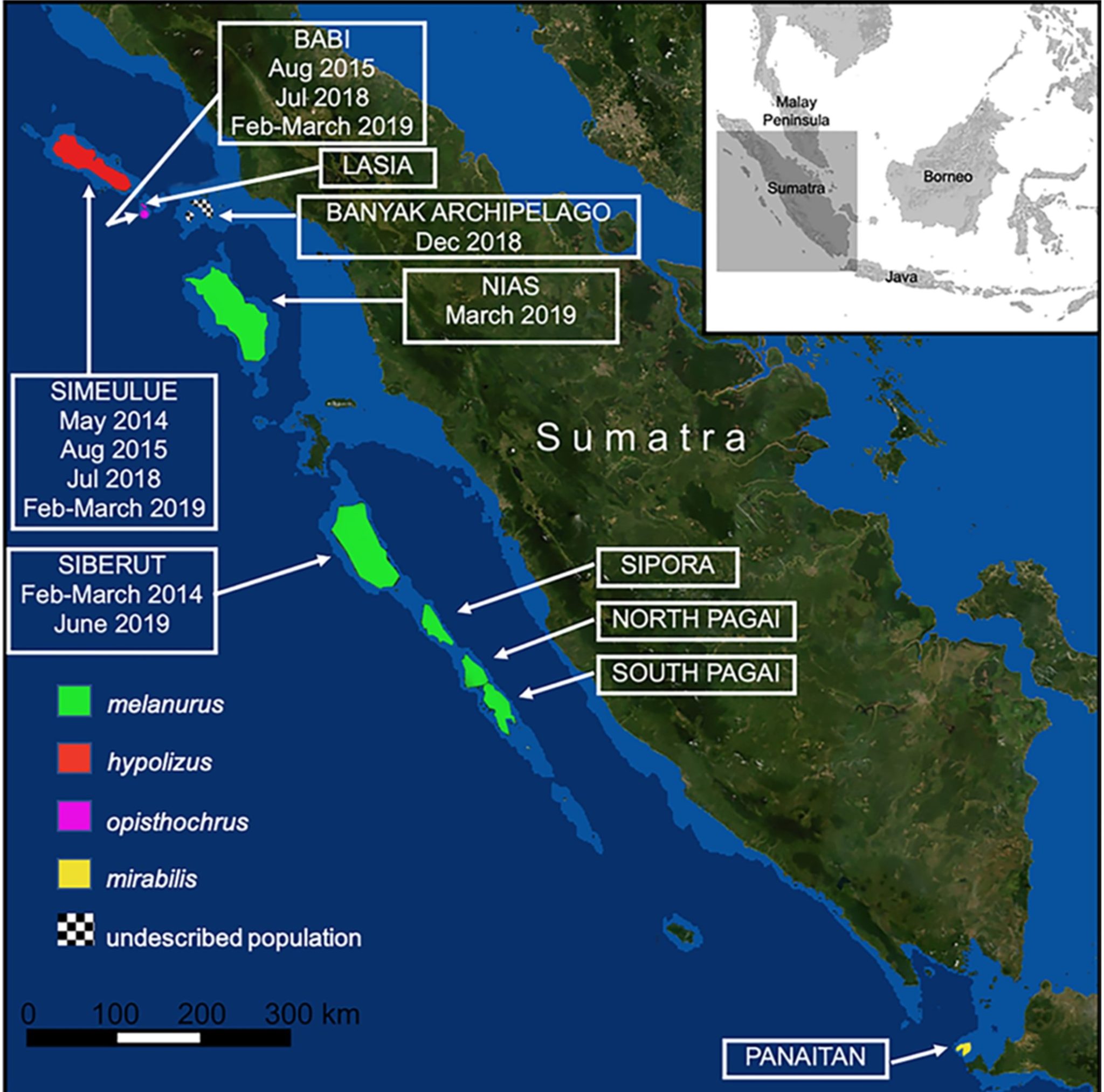Barusan Shama: At the precipice of extinction – Silent Forest