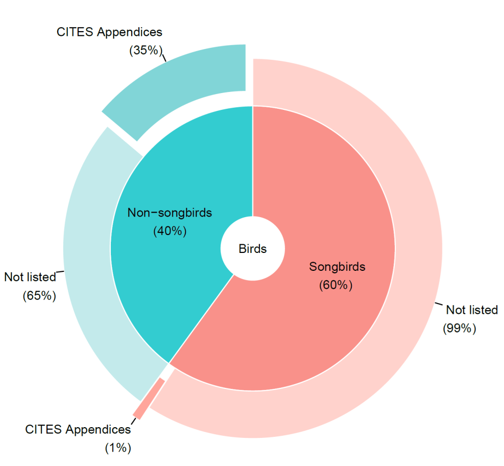 Decisive for Songbirds – the Second Week of the CITES CoP19 – Silent Forest
